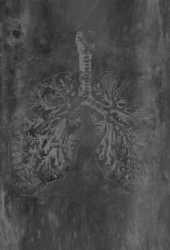 Tres poemas de El libro de los muertos de William R. Rukeyser - Letras ...